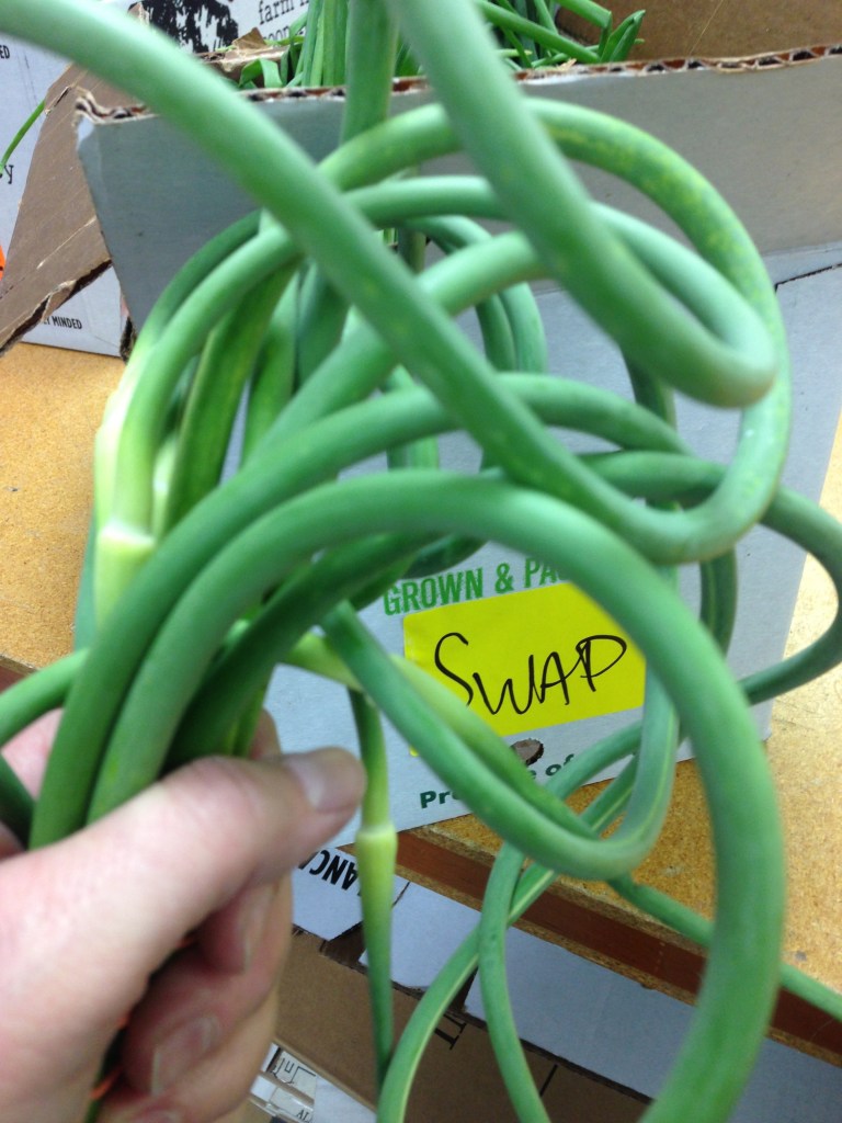 Swap-box hero: Pickled scallions & scapes – Boxing Day