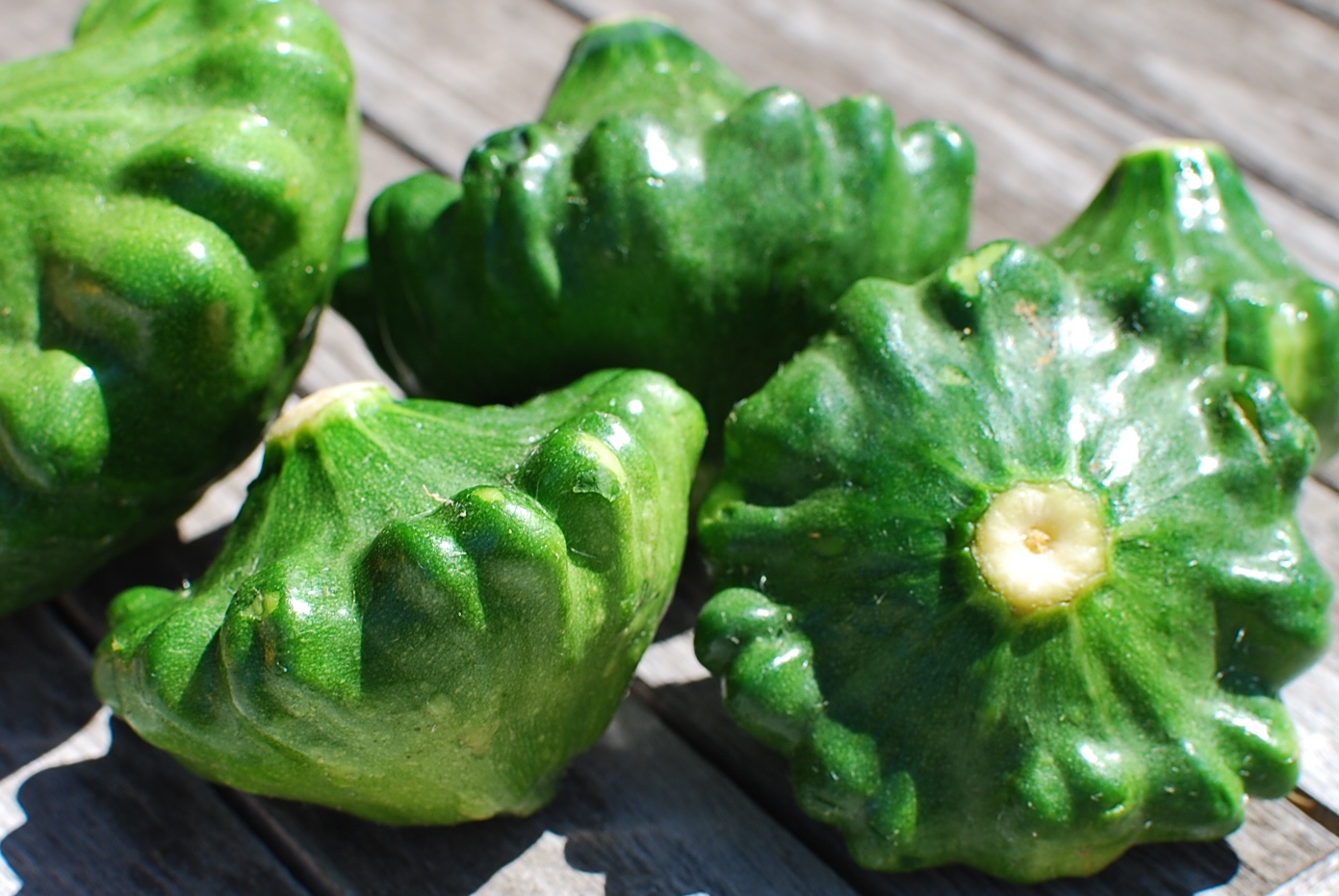 Squishy Squash: Spreadable Summer – Boxing Day