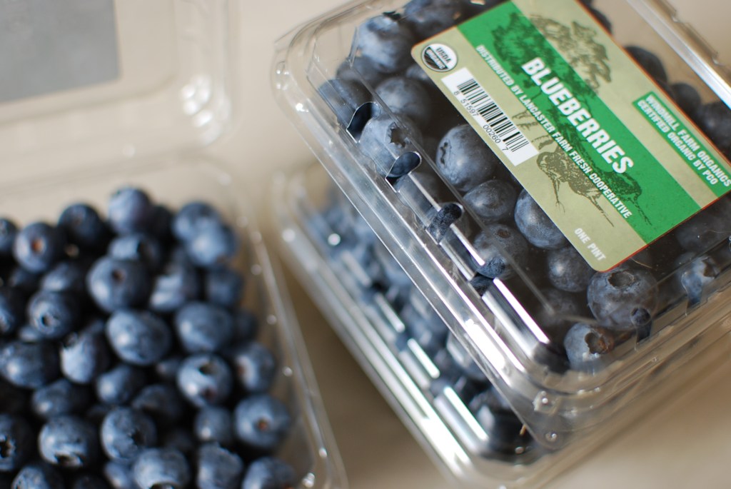 Blubarb Jam: A Sweet and Slippery Slope – Boxing Day