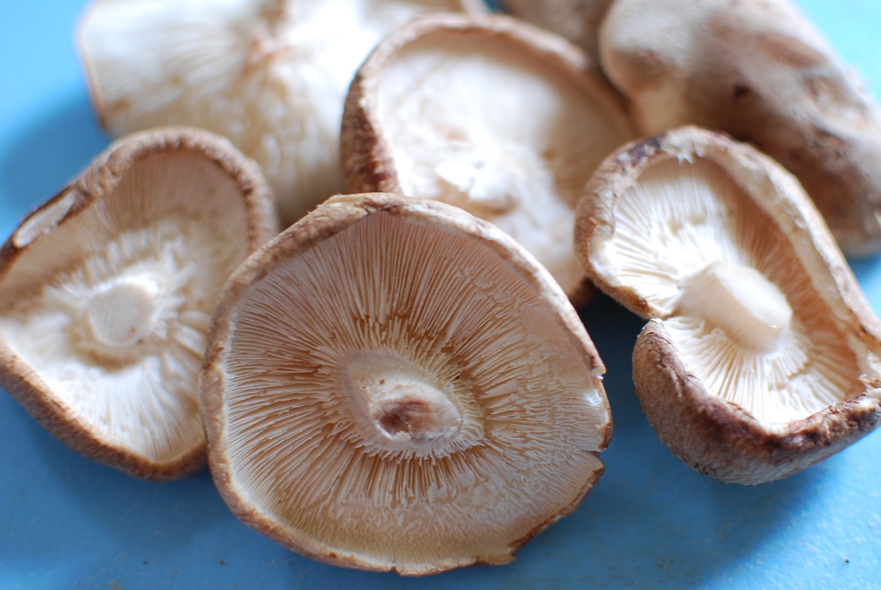 Quickled Shiitakes – Boxing Day