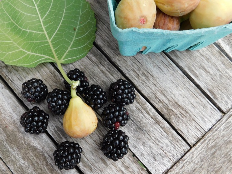 Blackberry-Fig Preserves – Boxing Day